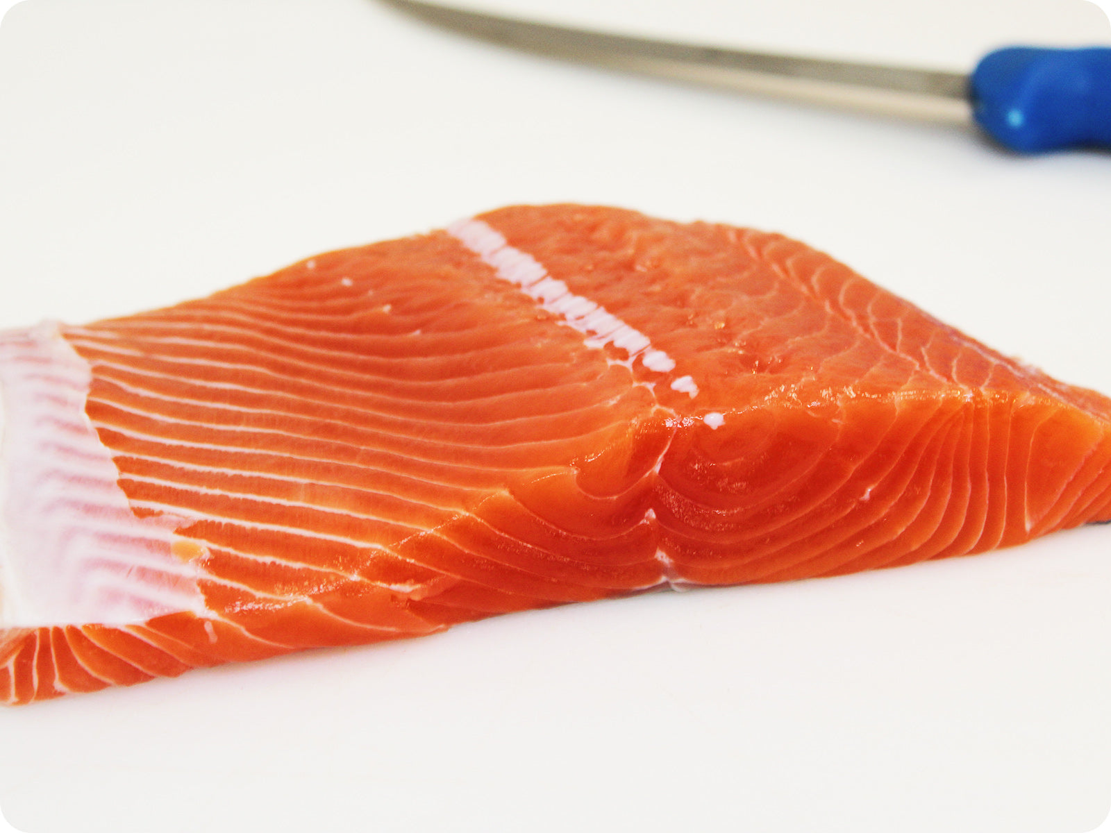 Wild King Salmon Fillet (Fresh) by the pound – Origin Catch