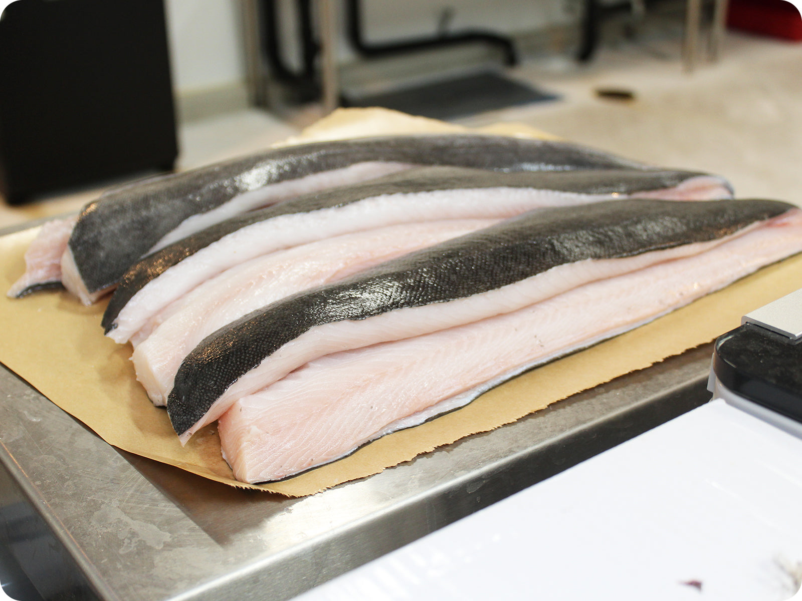 Black Cod Fillet (fresh, wild) by the pound – Origin Catch